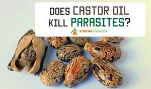 Parasite Cleanse: How to Do It the Right Way