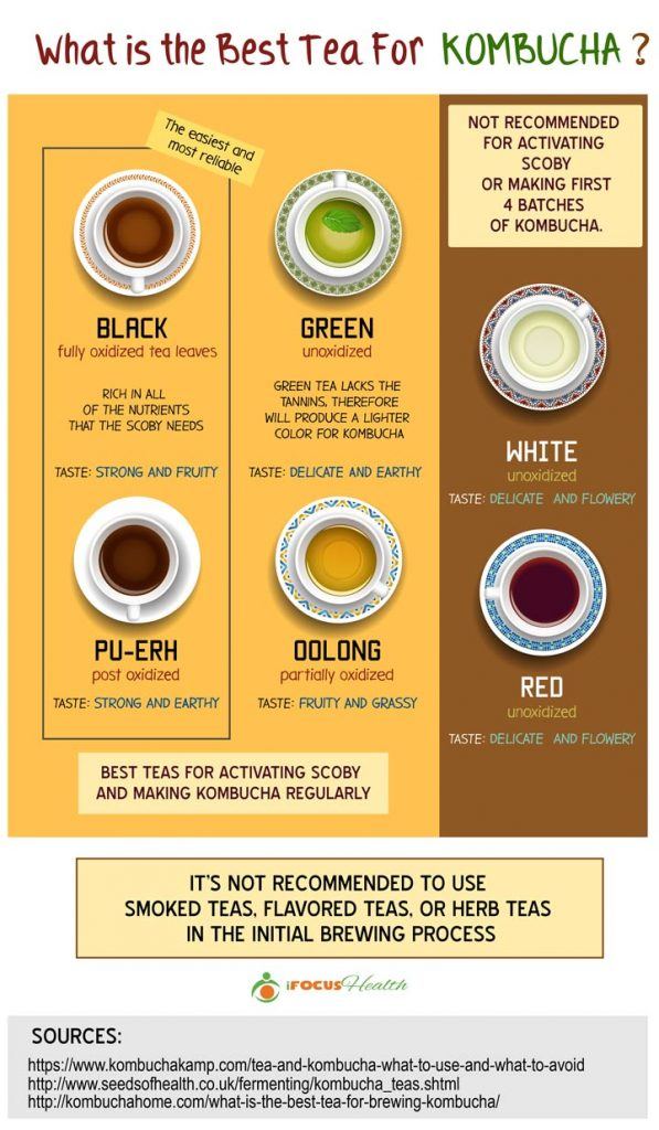 Drinking Kombucha Every Day Really Good for You?